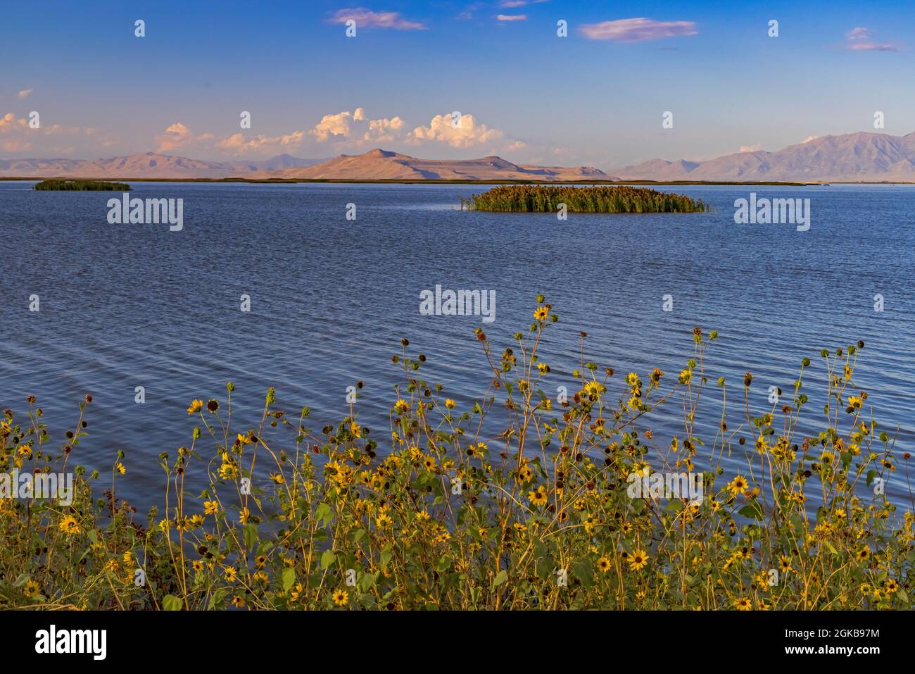 Unit tour hi-res stock photography and images - Alamy