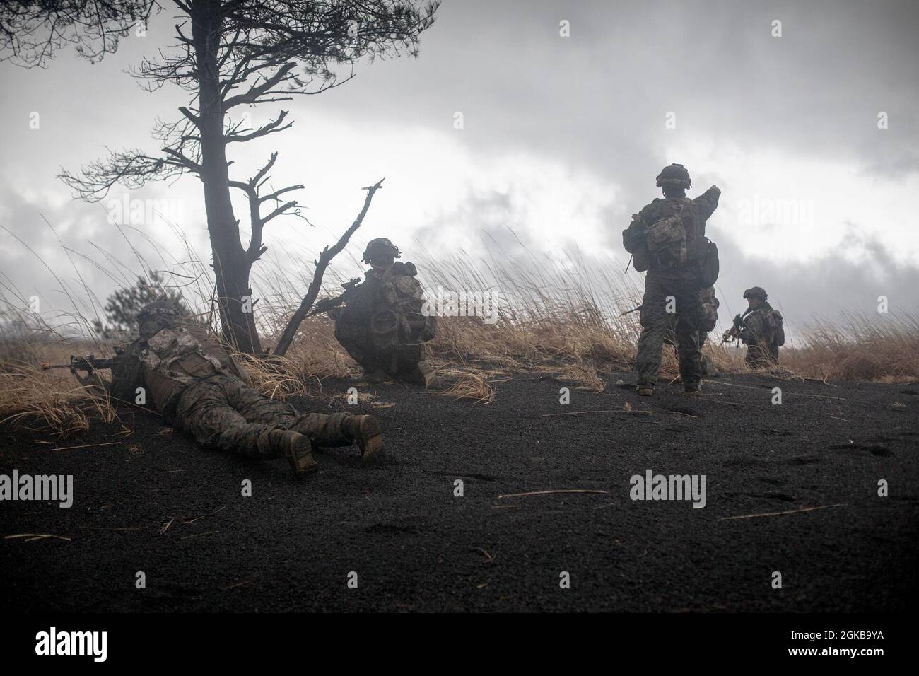U.S. Marines with Echo Battery, Battalion Landing Team 3/4, 31st Marine ...