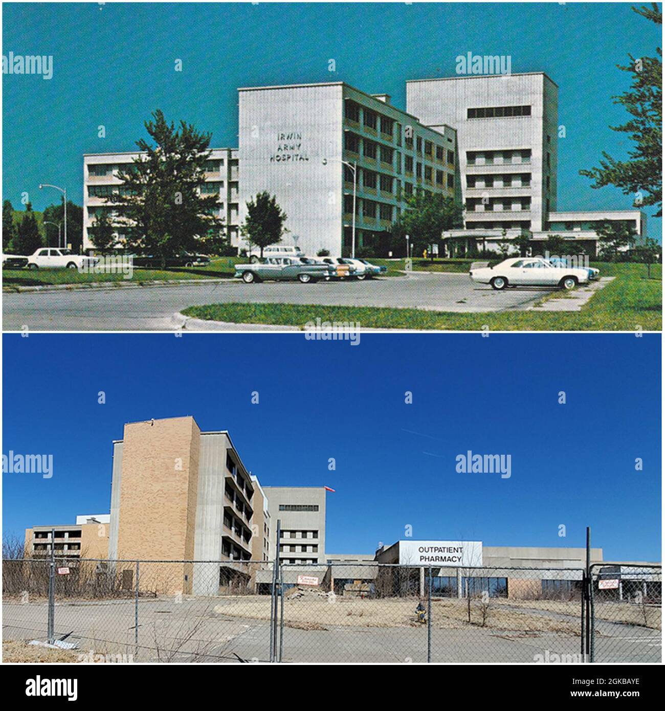 Iach hi-res stock photography and images - Alamy