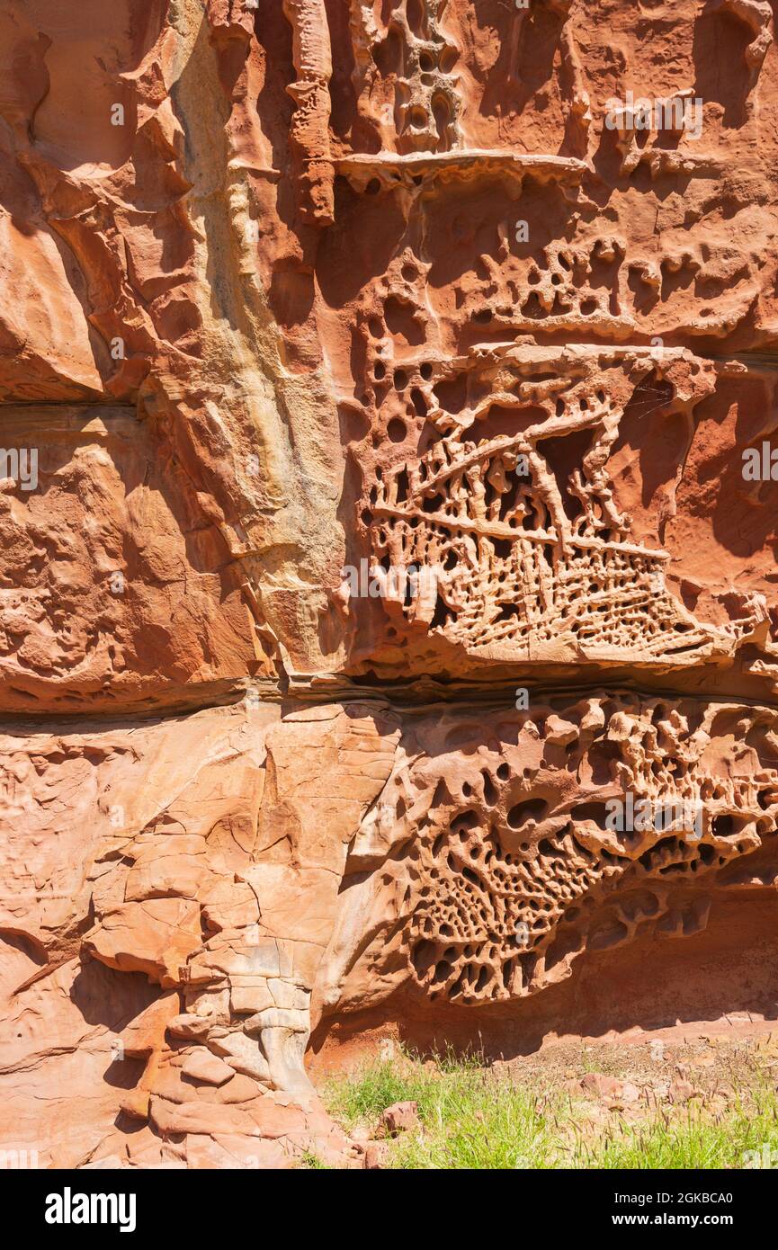 Vertical view and details of Honeycomb Gorge, an intriguing feature ...