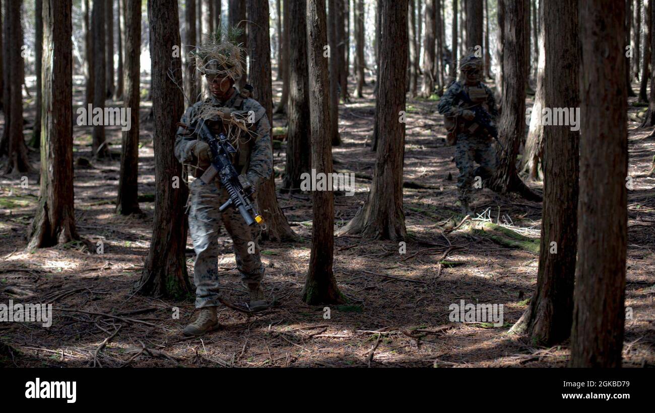 U.S. Marines with Echo Battery, Battalion Landing Team 3/4, 31st Marine ...