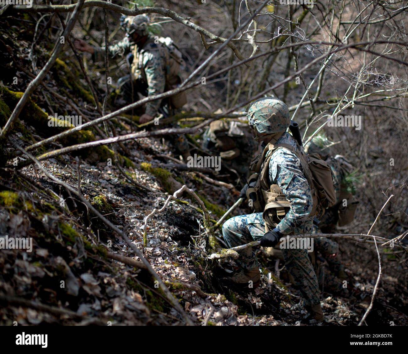 U.S. Marines with Echo Battery, Battalion Landing Team 3/4, 31st Marine ...