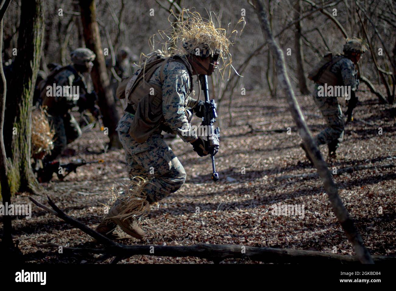 U.S. Marines with Echo Battery, Battalion Landing Team 3/4, 31st Marine ...