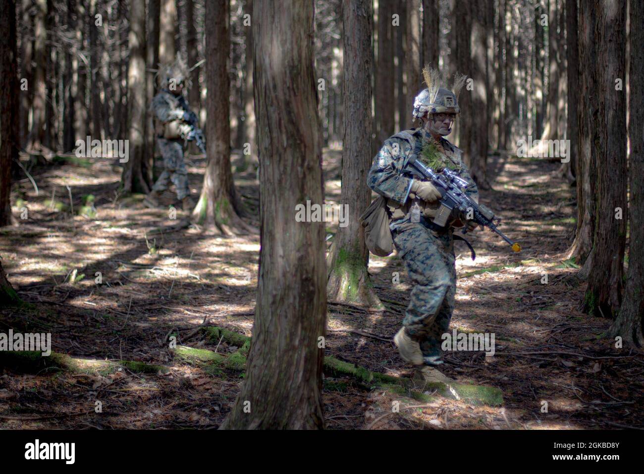 U.S. Marines with Echo Battery, Battalion Landing Team 3/4, 31st Marine ...