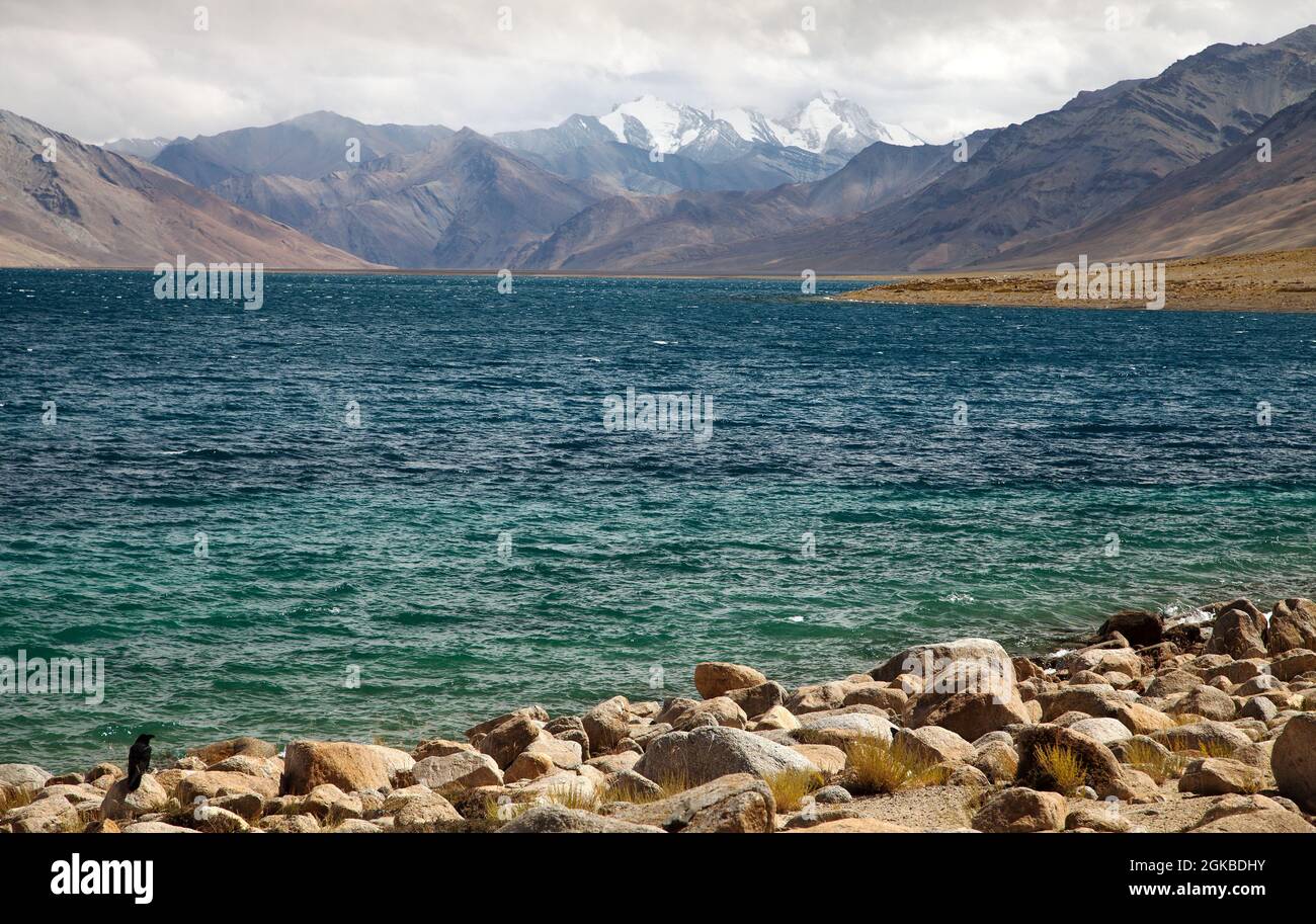 Tso Moriri lake in Rupshu valley, Chamser and Lungser Kangri - Ladakh ...