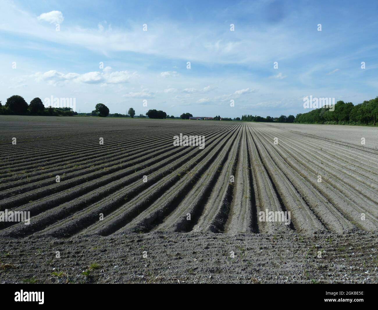 Landscape of cultivated rural fields in daylight Stock Photo - Alamy