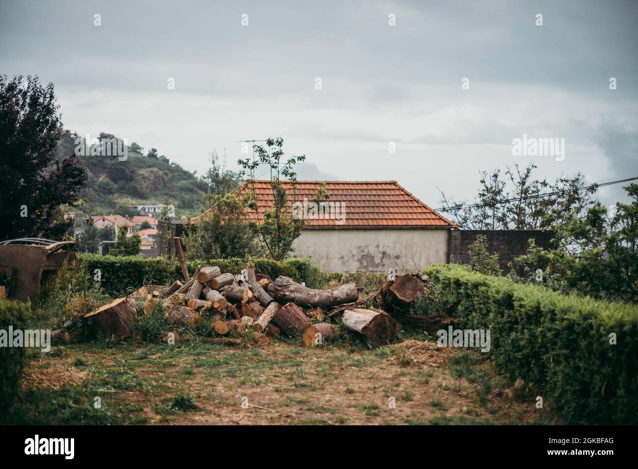 View of a village with buildings and beautiful greenery Stock Photo - Alamy