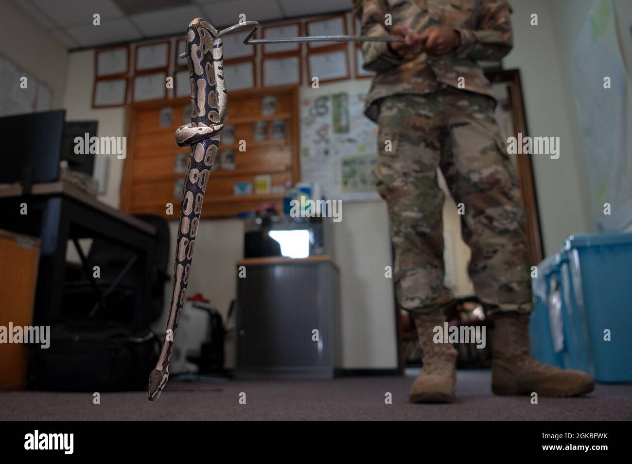 Senior Airman Trevon Robinson, a pest management specialist, practices ...