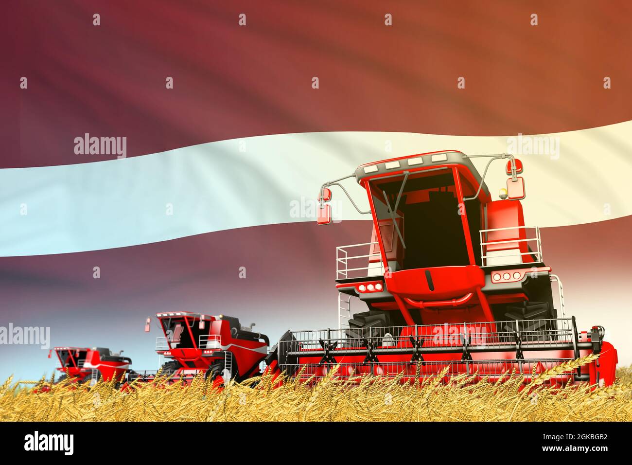 red rye agricultural combine harvester on field with Latvia flag ...