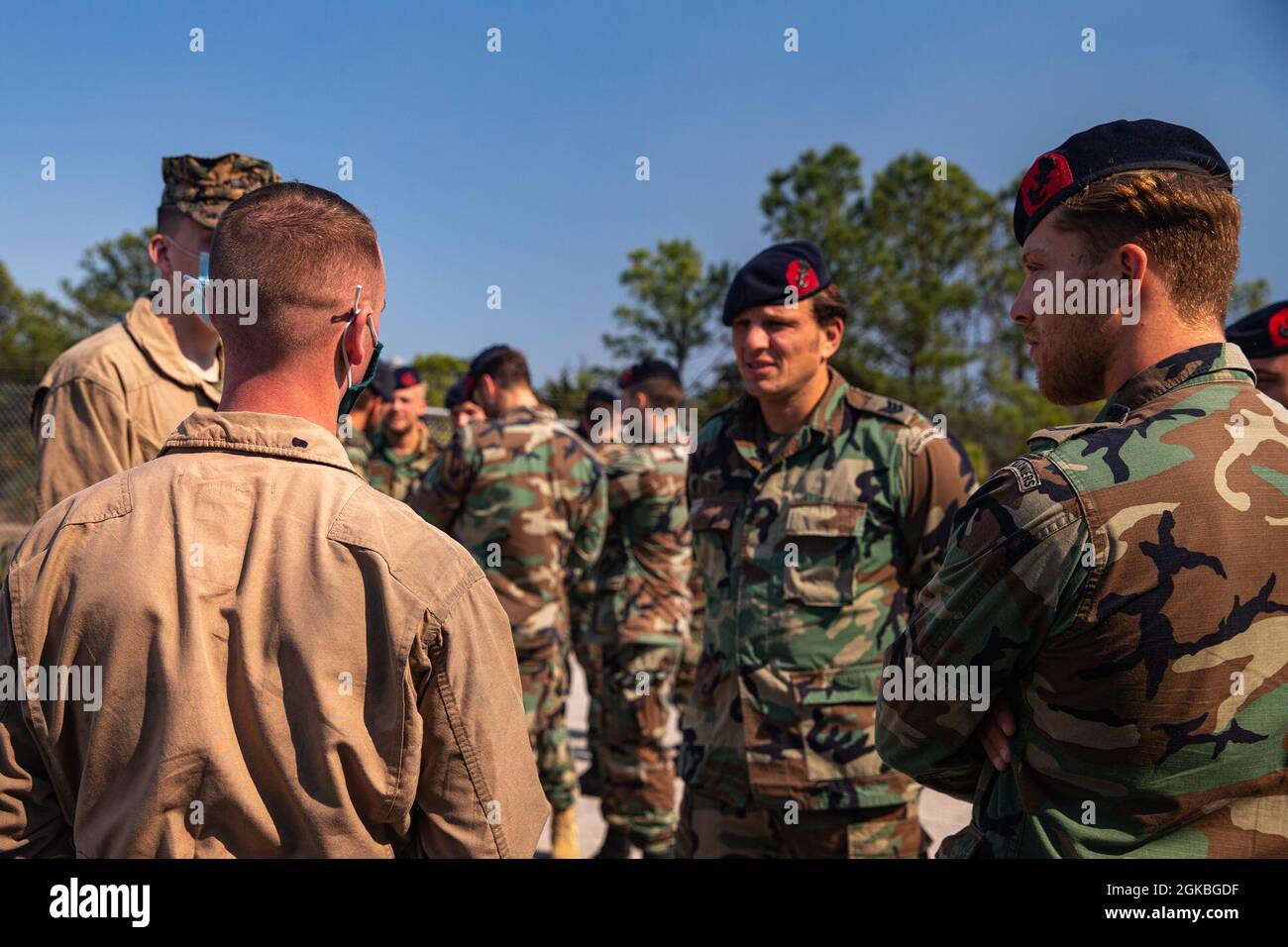 Dutch royal netherlands marines hi-res stock photography and images - Alamy
