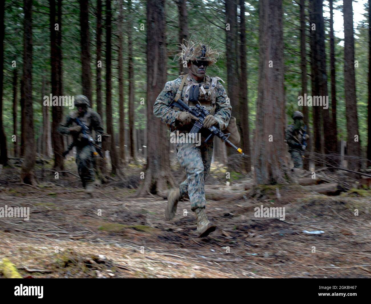 U.S. Marines with Echo Battery, Battalion Landing Team 3/4, 31st Marine ...