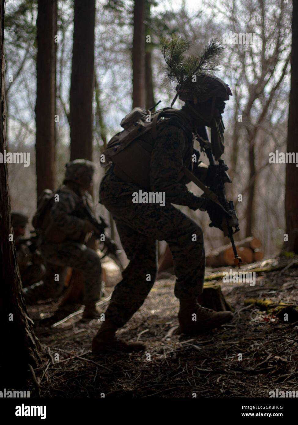 U.S. Marines with Echo Battery, Battalion Landing Team 3/4, 31st Marine ...