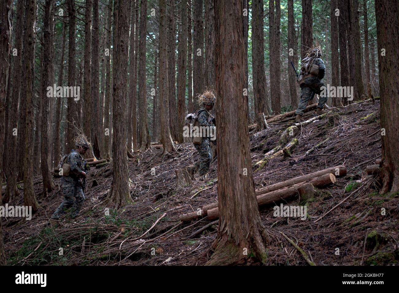 U.S. Marines with Echo Battery, Battalion Landing Team 3/4, 31st Marine ...
