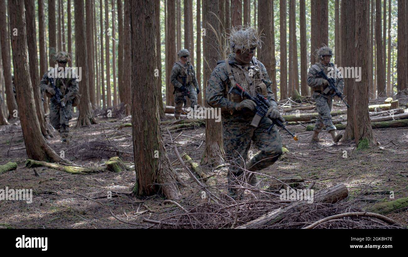 U.S. Marines with Echo Battery, Battalion Landing Team 3/4, 31st Marine ...