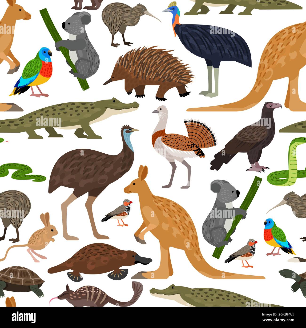 Emu bird from australia emu Stock Vector Images - Alamy