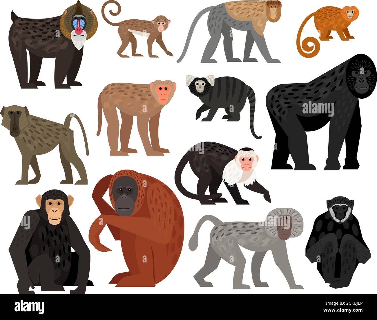 Big collection of different cute Monkeys Stock Vector Image & Art - Alamy