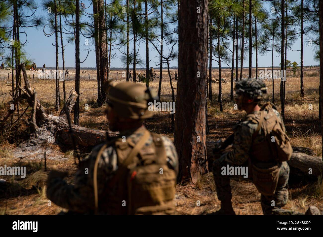 U.S. Marines with 2nd Battalion, 8th Marine Regiment, 2d Marine ...
