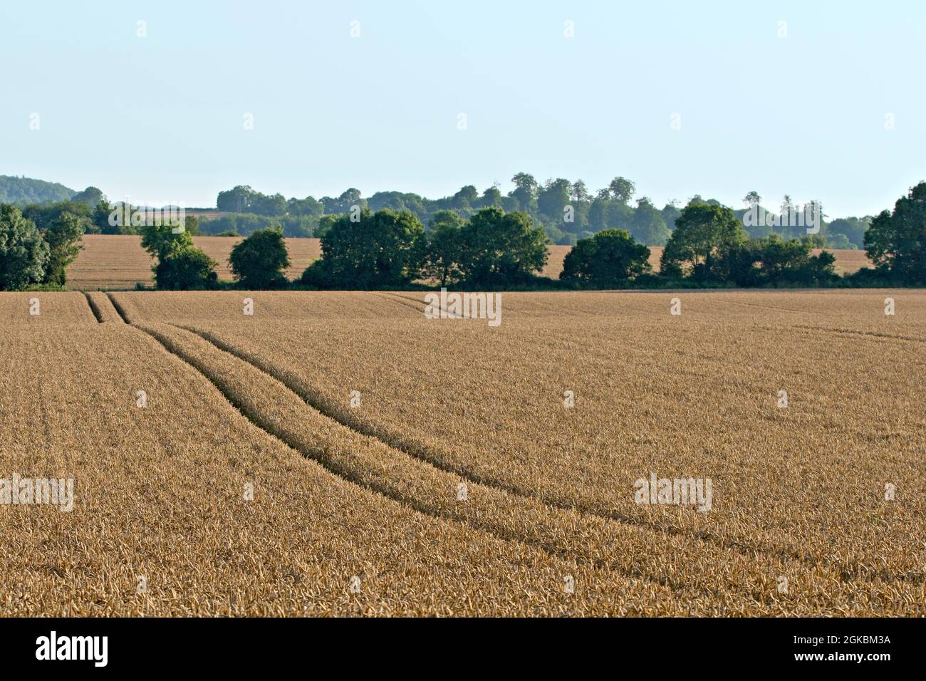 Rural countryside bucolic hi-res stock photography and images - Alamy