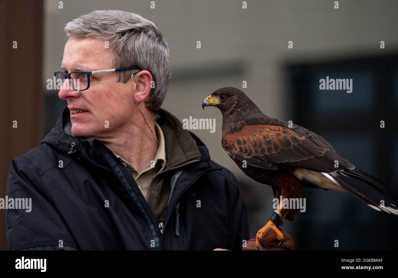 Jens Fleer, 52nd Fighter Wing base falconer, prepares to hunt with his ...