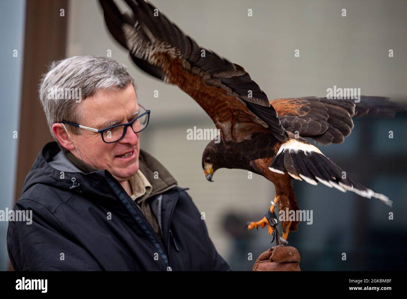 Jens Fleer, 52nd Fighter Wing base falconer, prepares to launch his ...