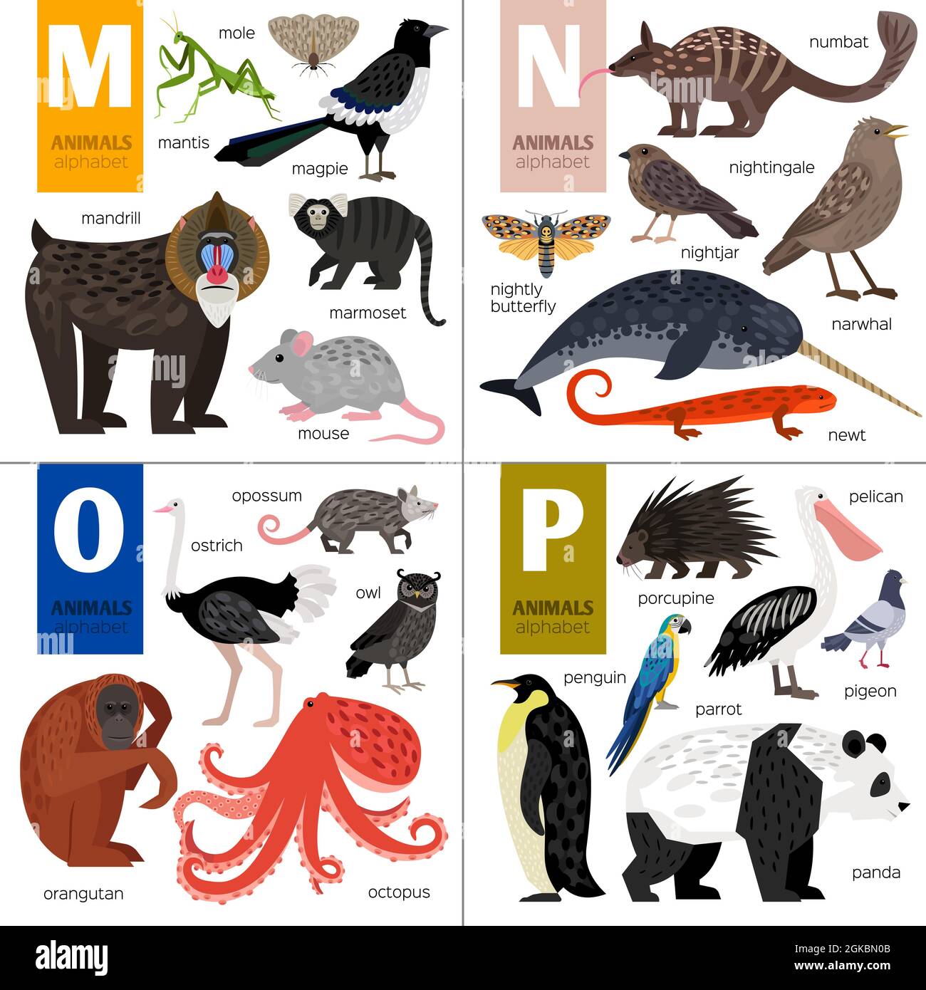 Alphabet vector design with cute animals Stock Vector Image & Art - Alamy