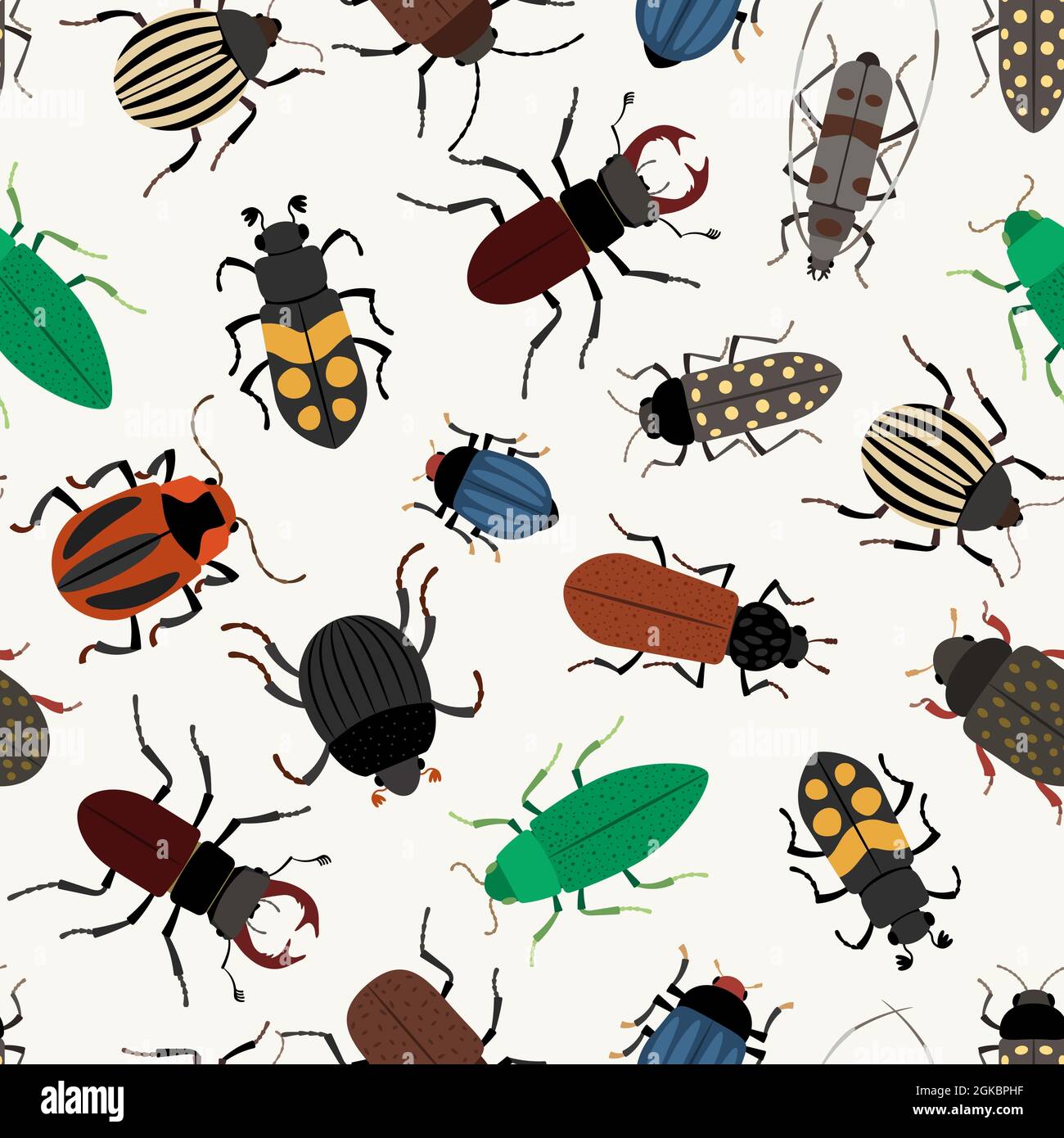 Seamless pattern of different beautiful beetles Stock Vector Image ...