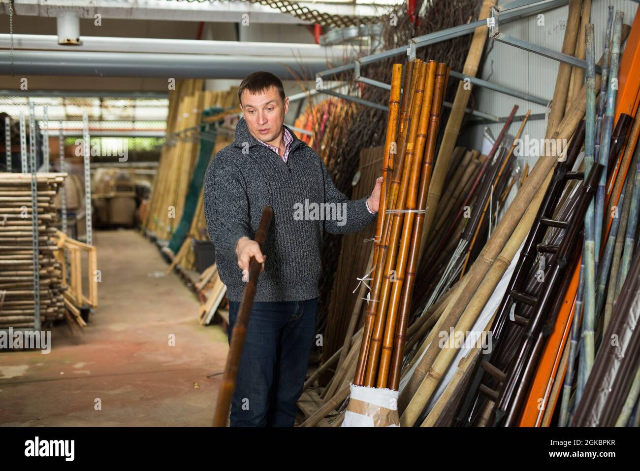 Man choosing bamboo stakes at gardening store Stock Photo - Alamy