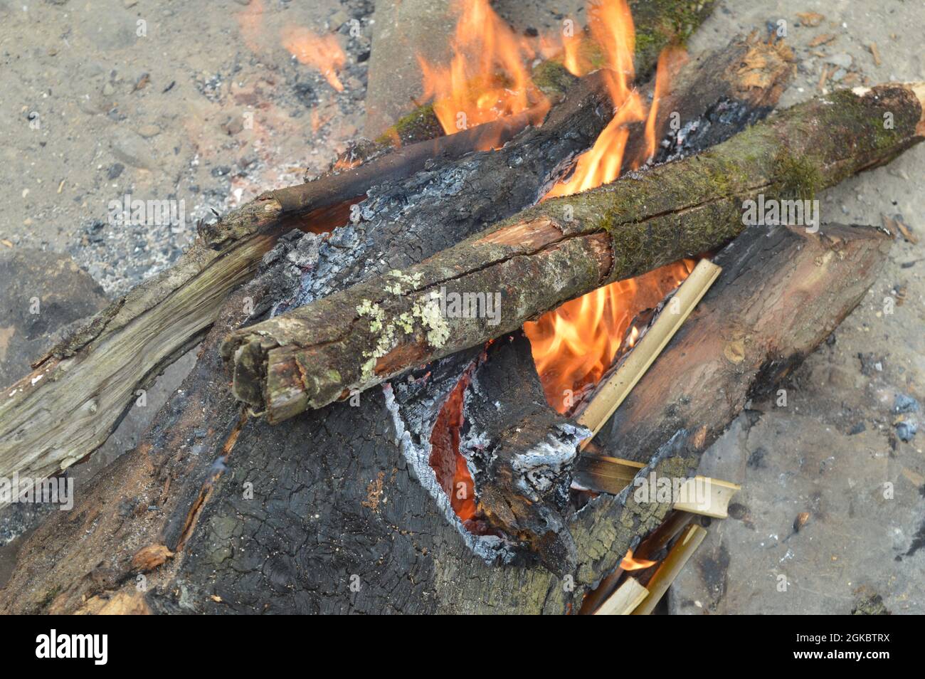 Burning tree trunks on the ground for heat during winter in Sapa ...