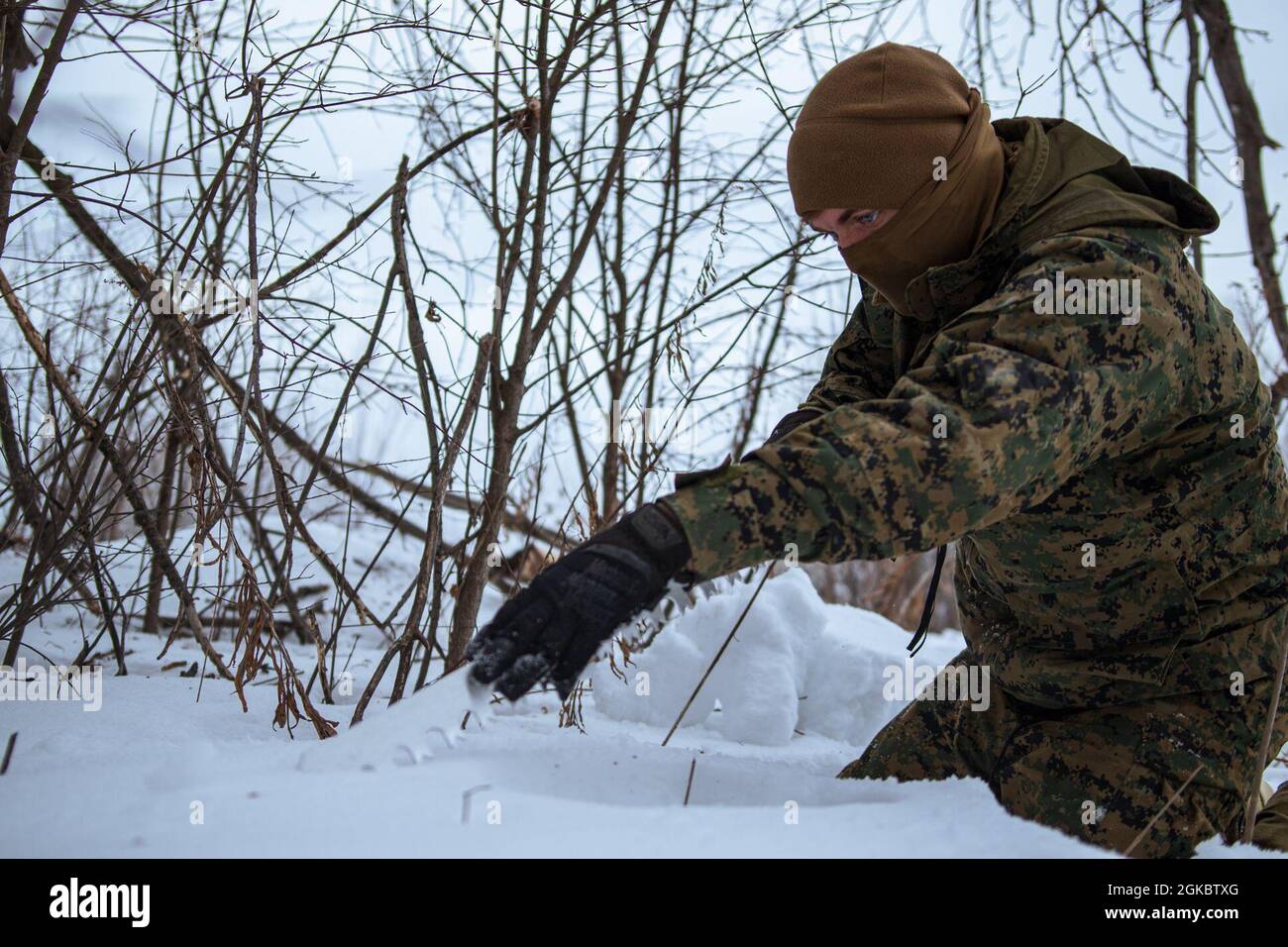 Cold cut lance hi-res stock photography and images - Alamy