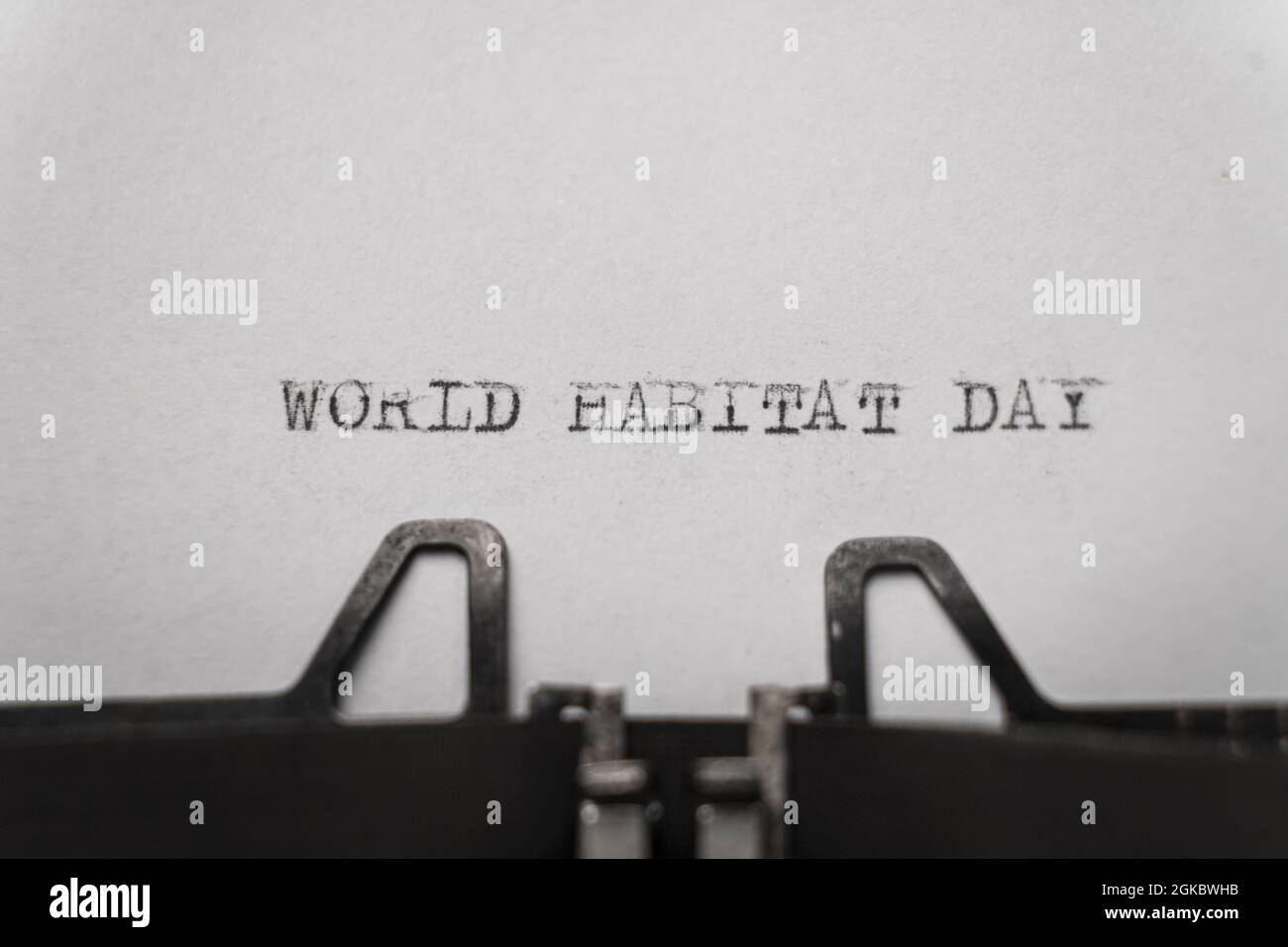 world habitat day typed words on a vintage typewriter Stock Photo - Alamy