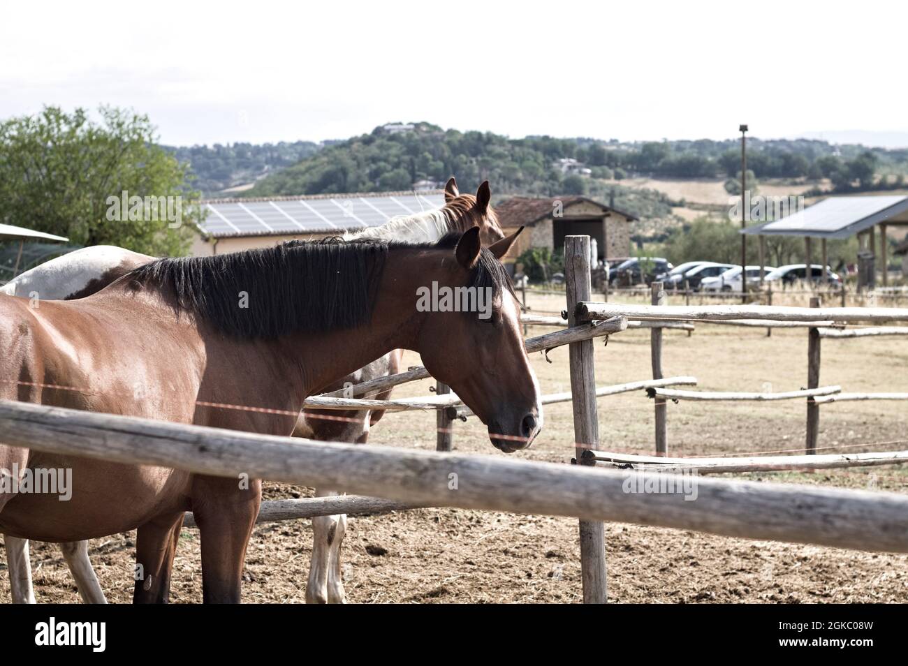 Equestrian ranch tuscany hi-res stock photography and images - Alamy