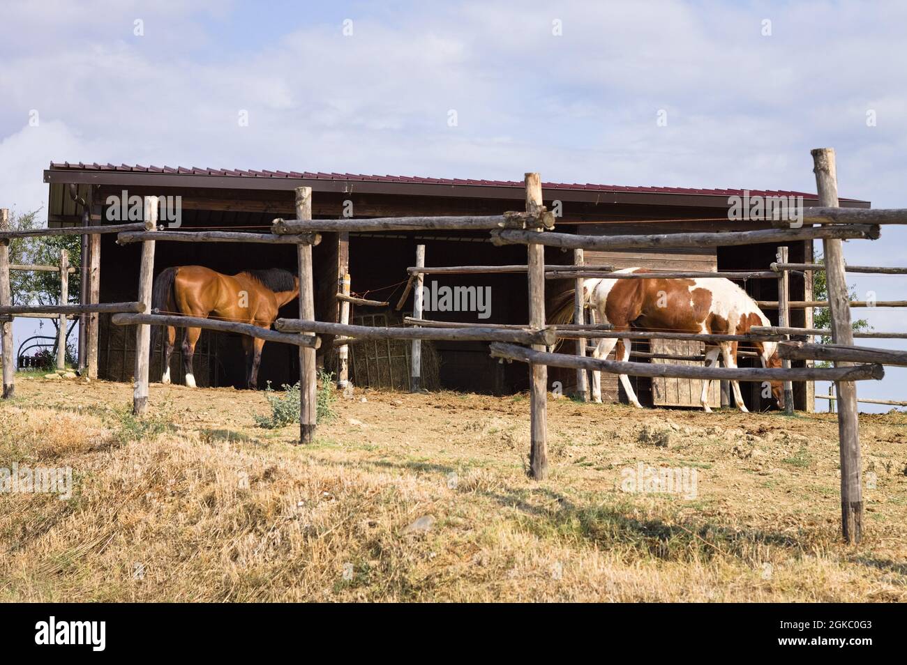 Equestrian ranch tuscany hi-res stock photography and images - Alamy