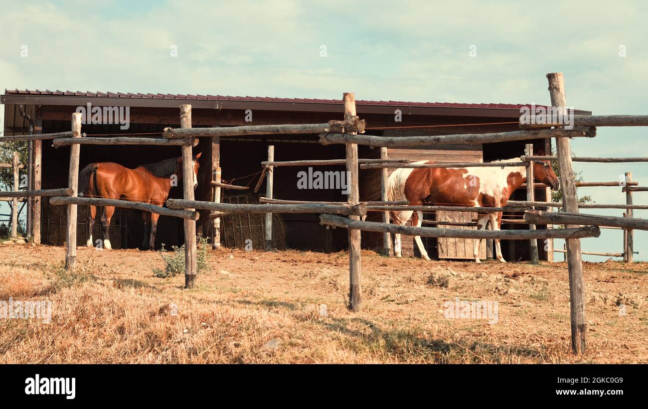 Equestrian ranch tuscany hi-res stock photography and images - Alamy