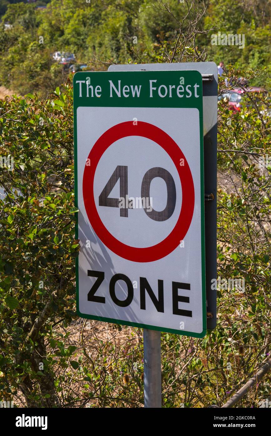 40 zone speed limit sign in the New Forest, Hampshire UK in August - 40 ... 40 zone speed limit sign in the New Forest, Hampshire UK in August - 40 ...