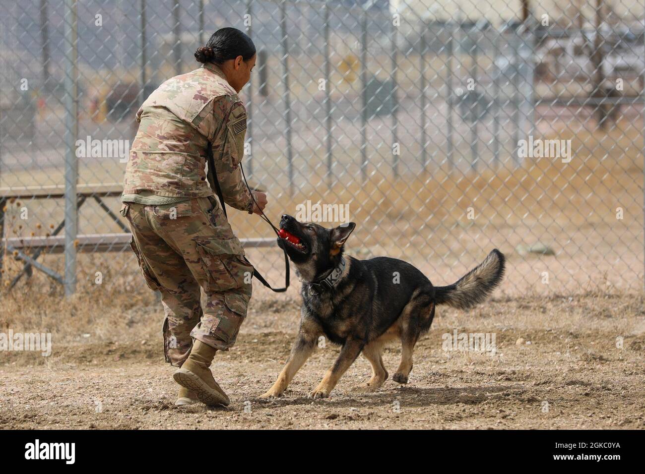Spc. Sadie Kinney, a military working dog (MWD) handler assigned to ...