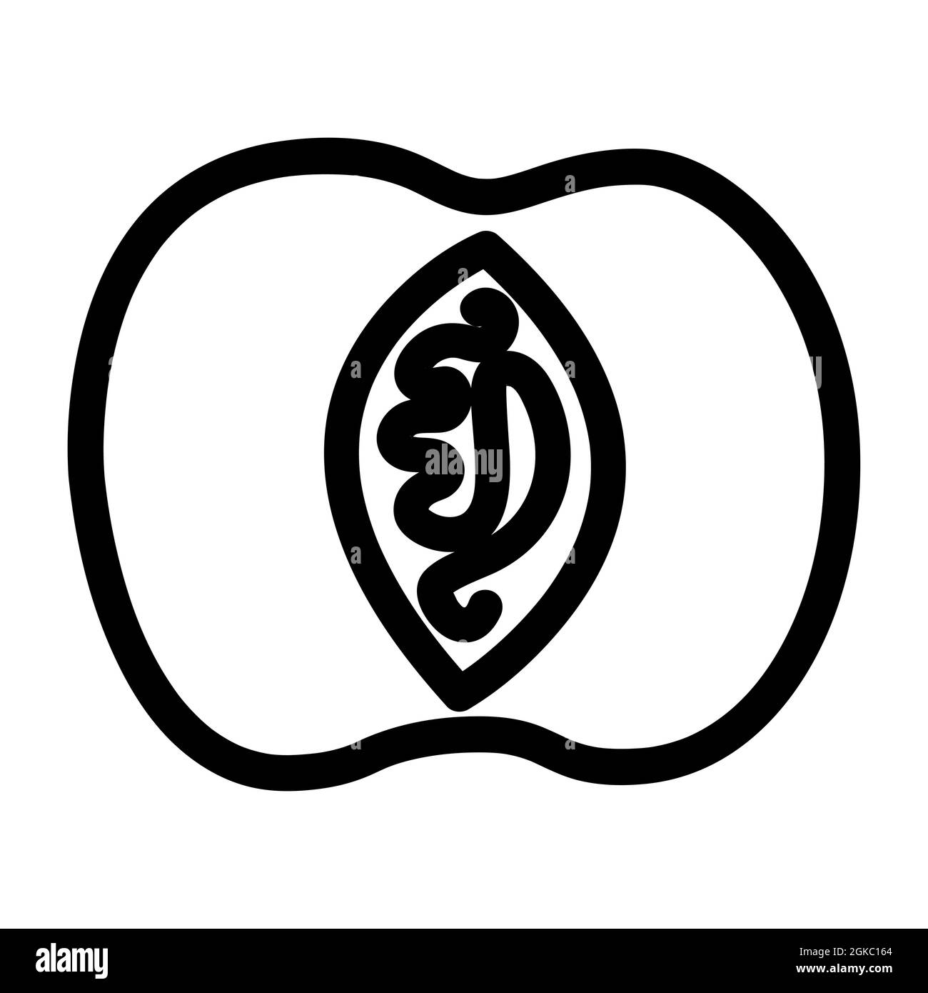 Vector monochrome illustration of peach logo Simple outline design ...