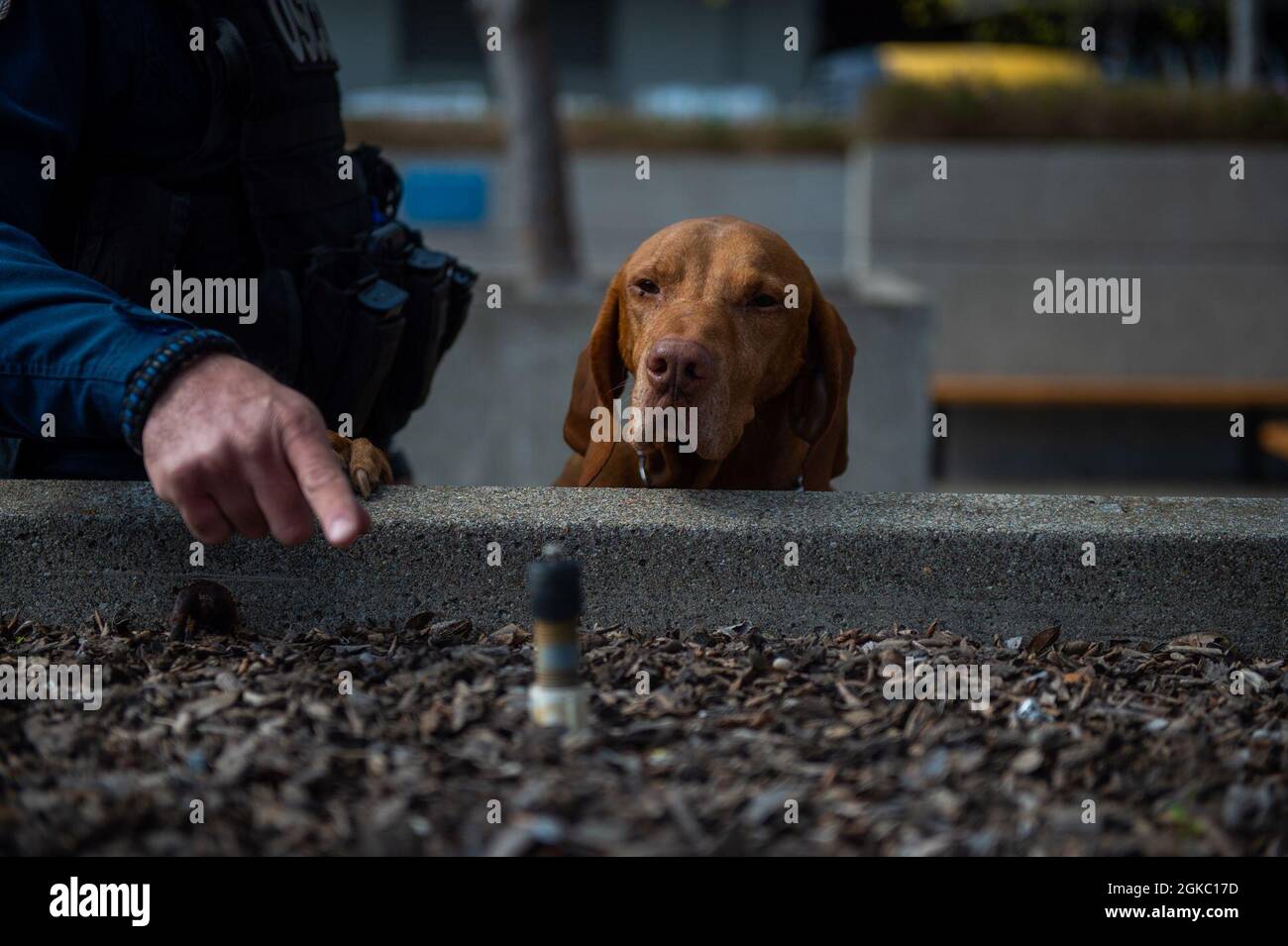 Super k9 hi-res stock photography and images - Alamy