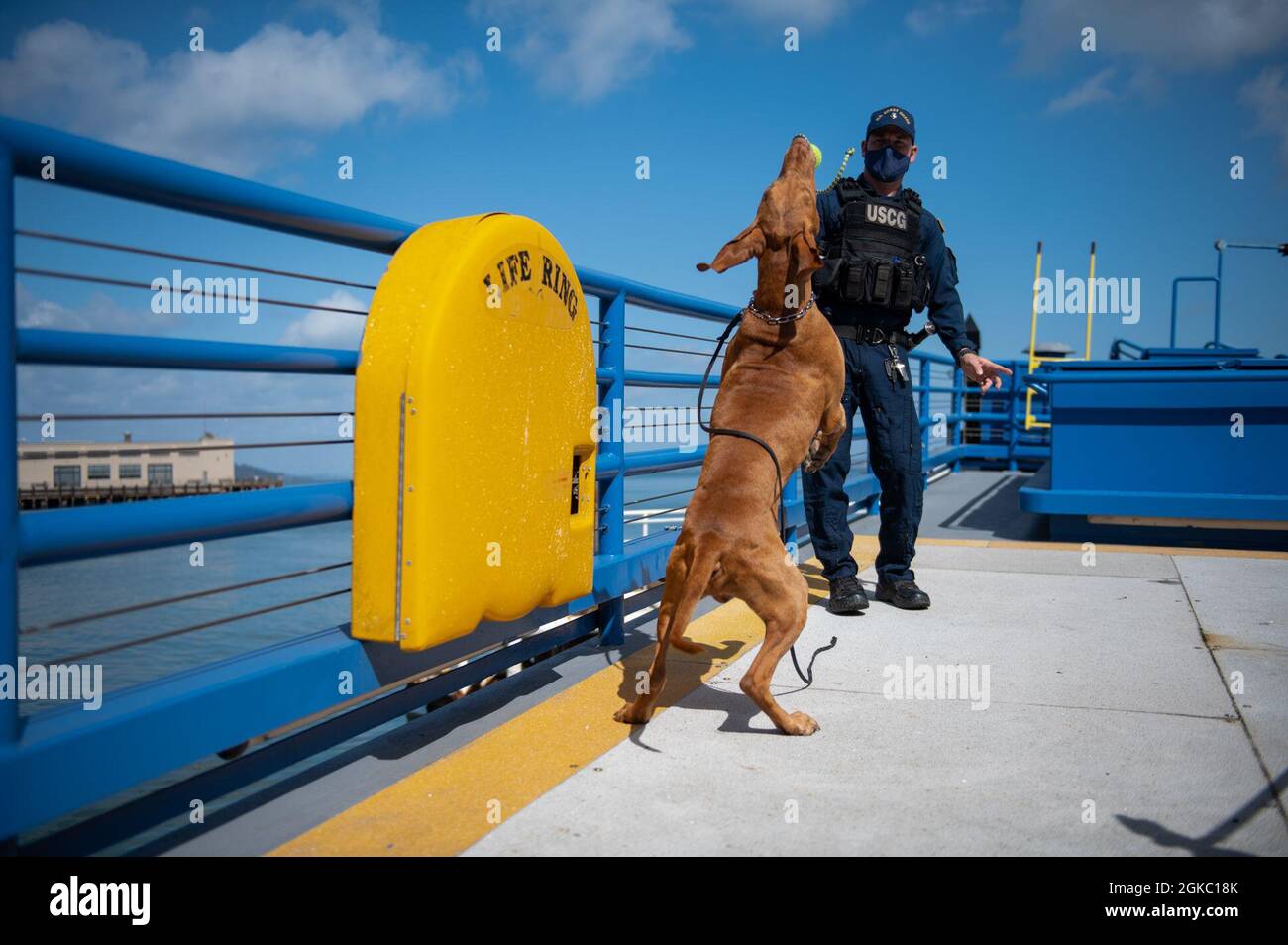 Explosive k9 events hi-res stock photography and images - Alamy