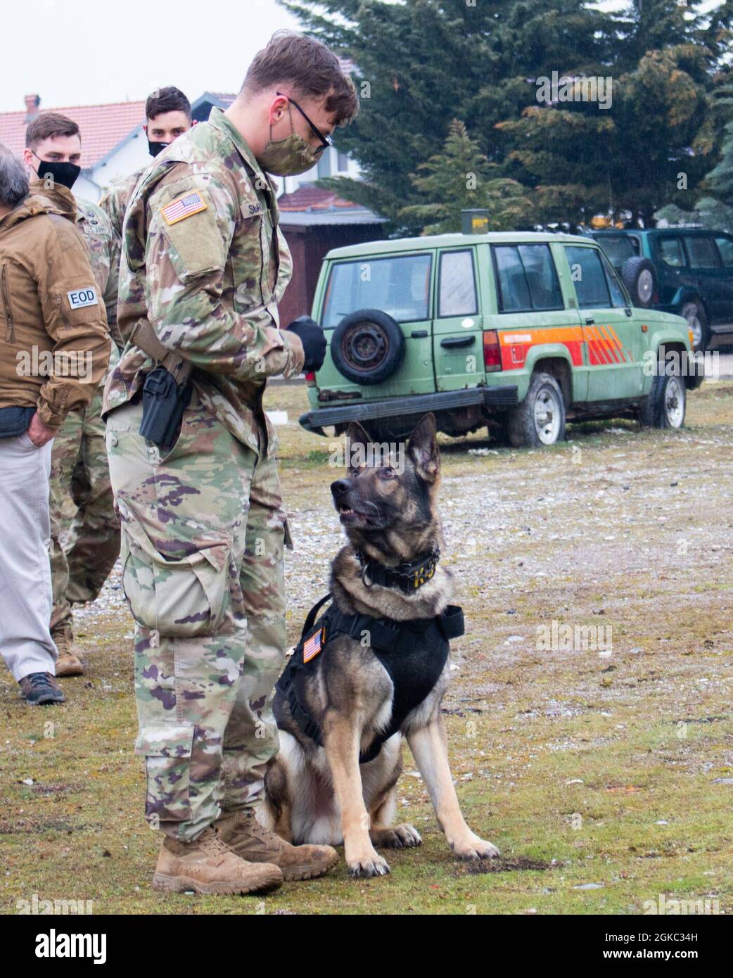 Army Dogs In Action