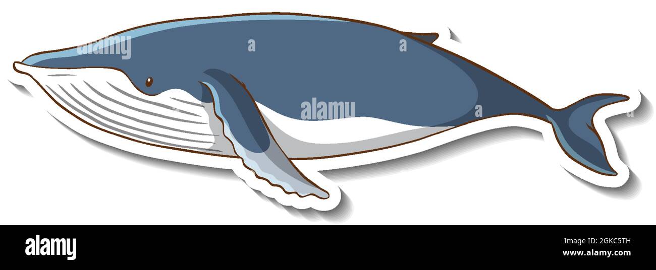 Sticker template with a whale cartoon character isolated illustration ...