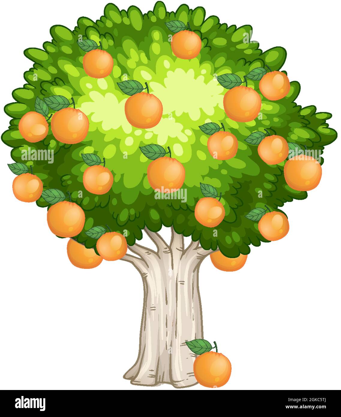 Orange tree isolated on white background illustration Stock Vector ...