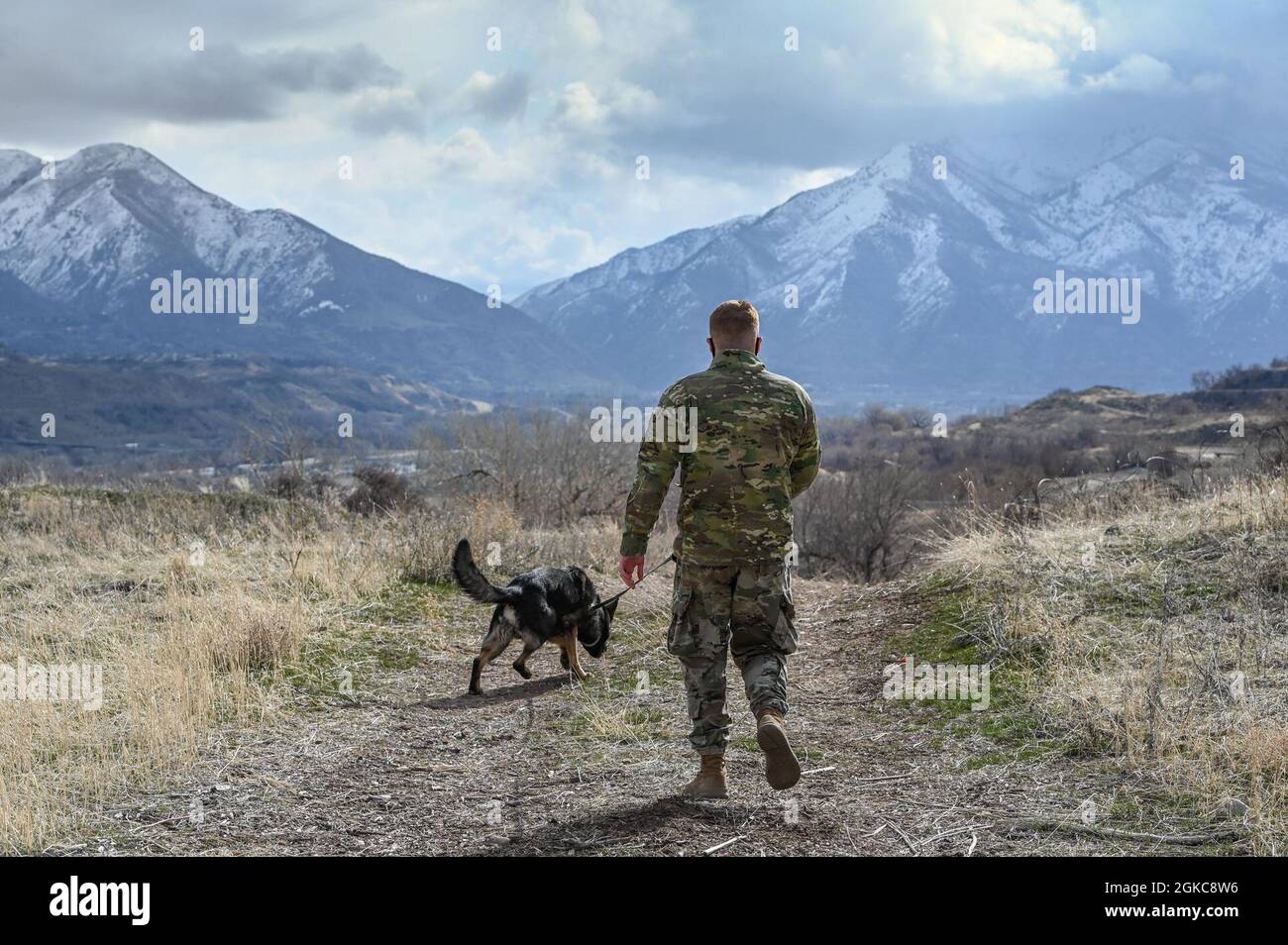Staff Sgt. Patrick Cushing, a military working dog handler with the ...
