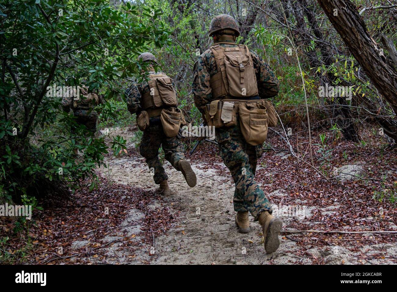 U.S. Marines with Alpha Company, Infantry Training Battalion, School of ...