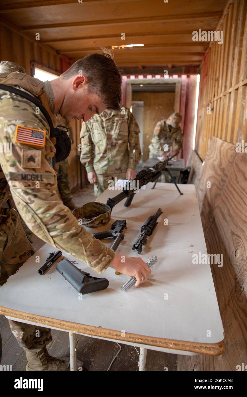 Sgt. James McGill, a radiology specialist with the 224th Medical ...