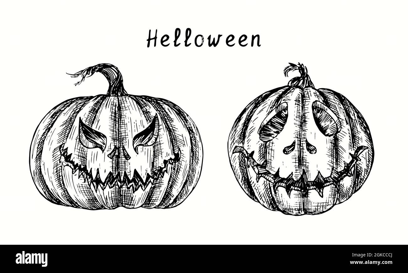 Halloween pumpkins Jack-o-lantern collection. Ink black and white ...