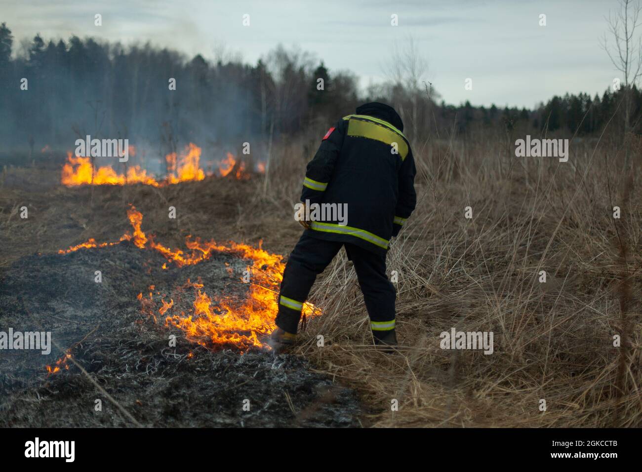 A firefighter extinguishes dry grass. A firefighter is fighting a fire ...