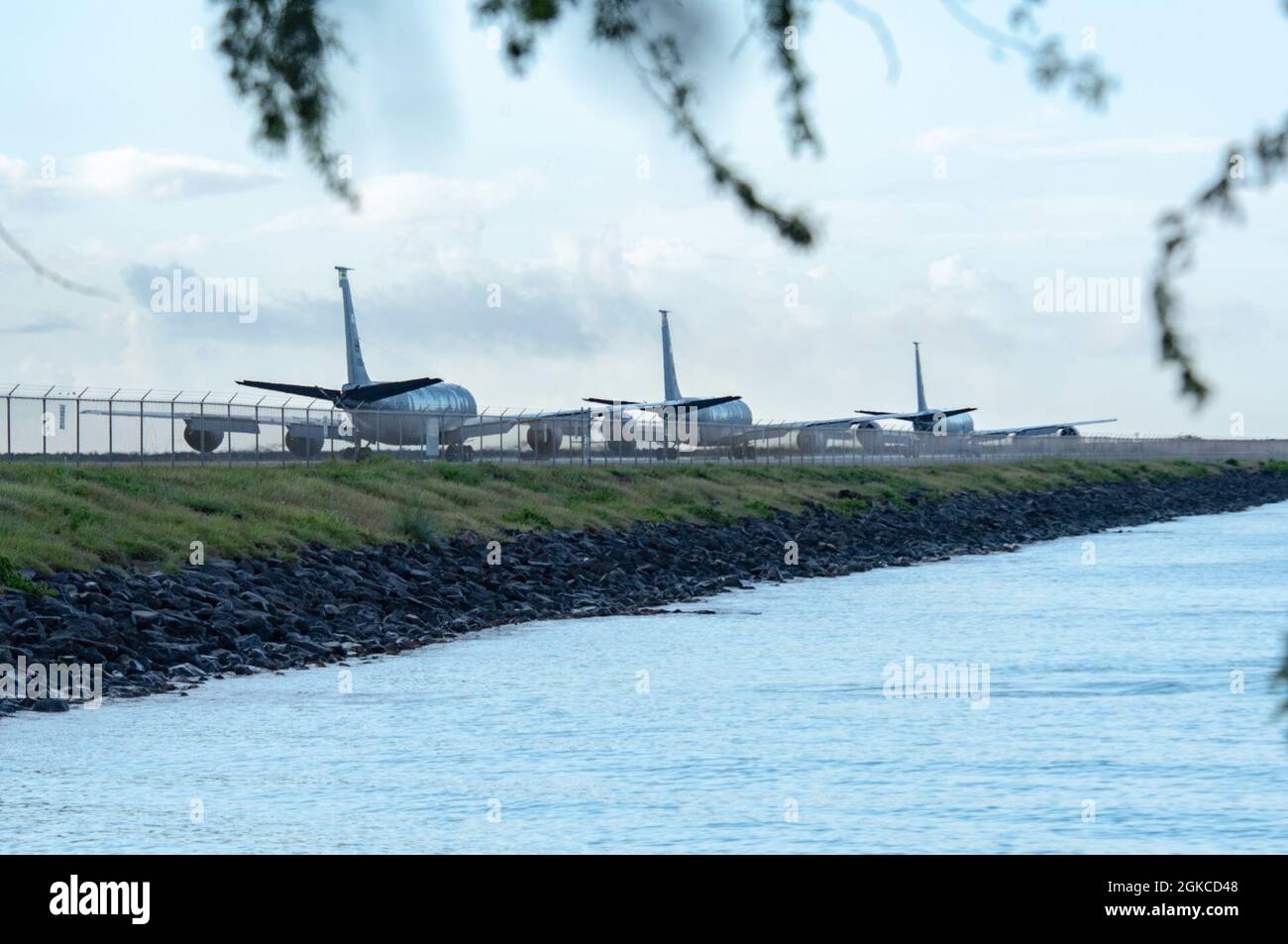 Hawaiian raptor hi-res stock photography and images - Alamy
