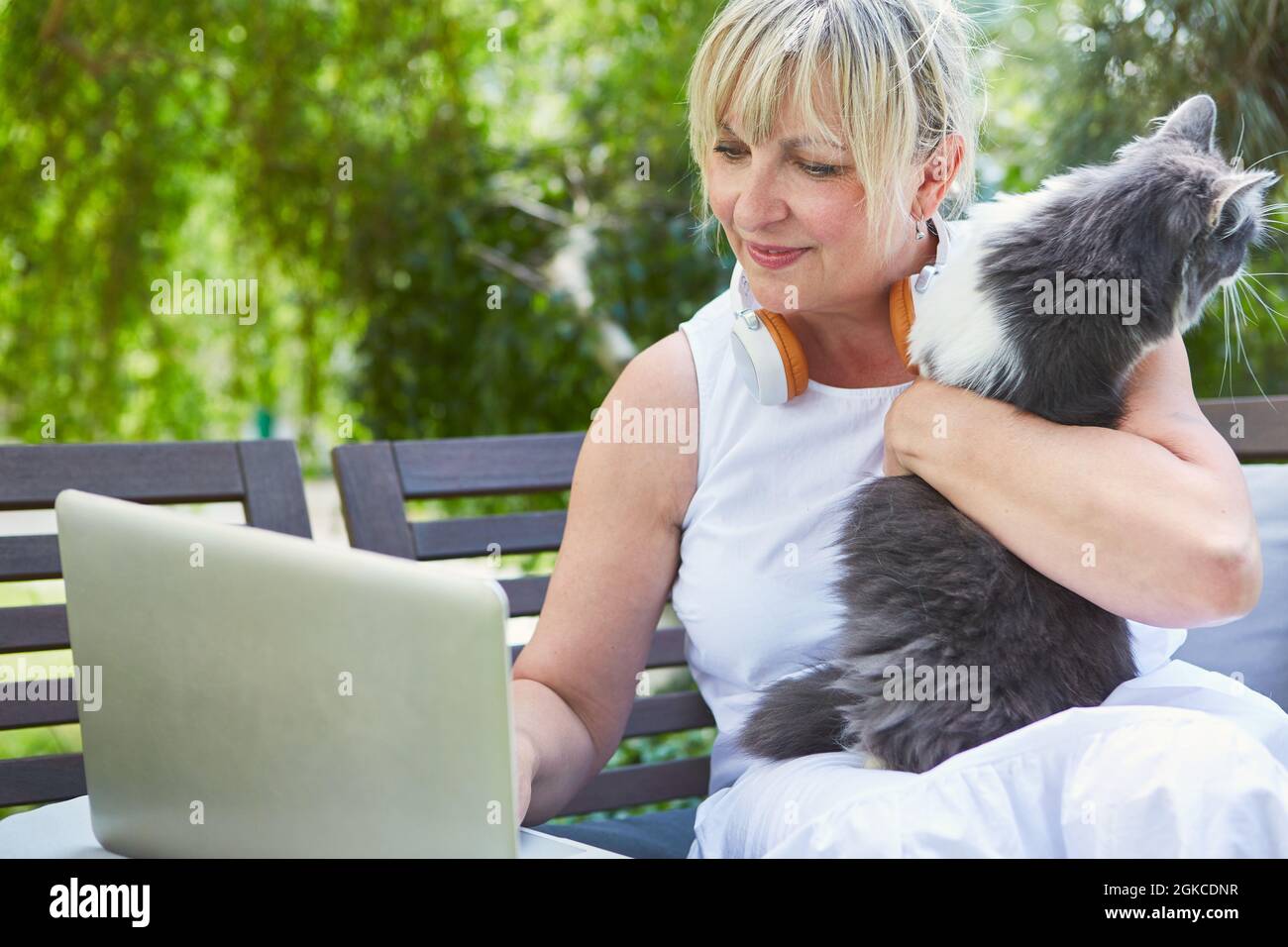 Elderly woman with cat as a pet at the laptop computer on summer ...