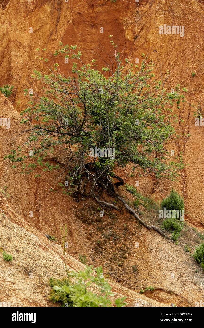 Albanian rural scene hi-res stock photography and images - Alamy