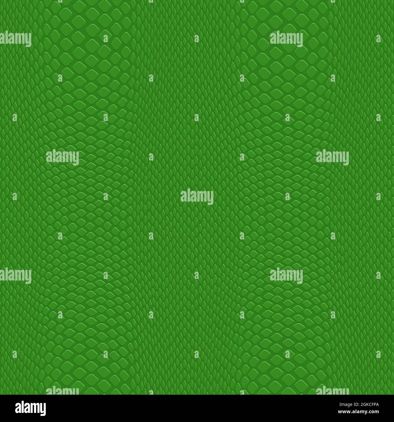 Reptile skin pattern hi-res stock photography and images - Alamy